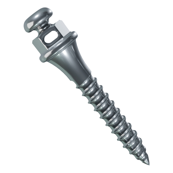 Titanium Through Hole Self-Drilling Mini Implant – First Dental